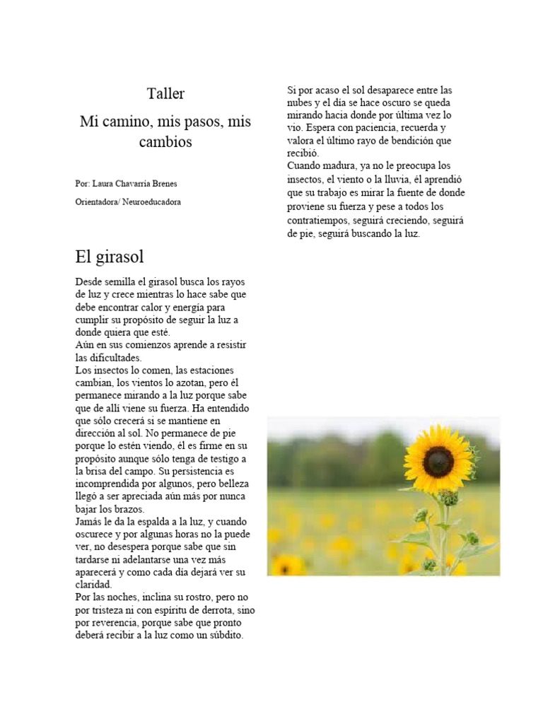 Cambios y Tarjetas | PDF | Poesía