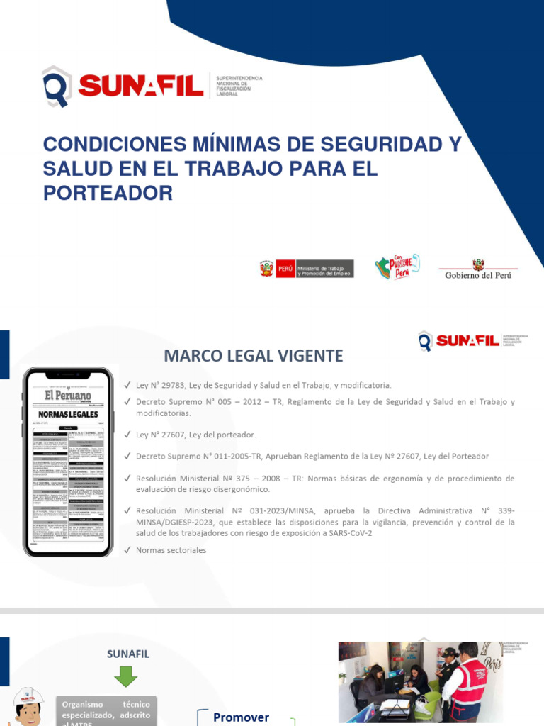 Condiciones Minimas de SST para El Porteador | Descargar gratis PDF ...