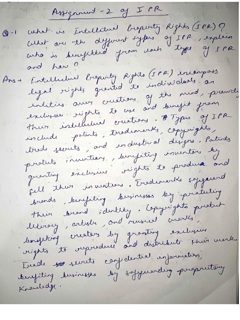 IPR Assignment 2 | PDF