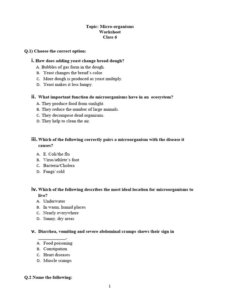 Grade 6 Homework | PDF | Bacteria | Fungus