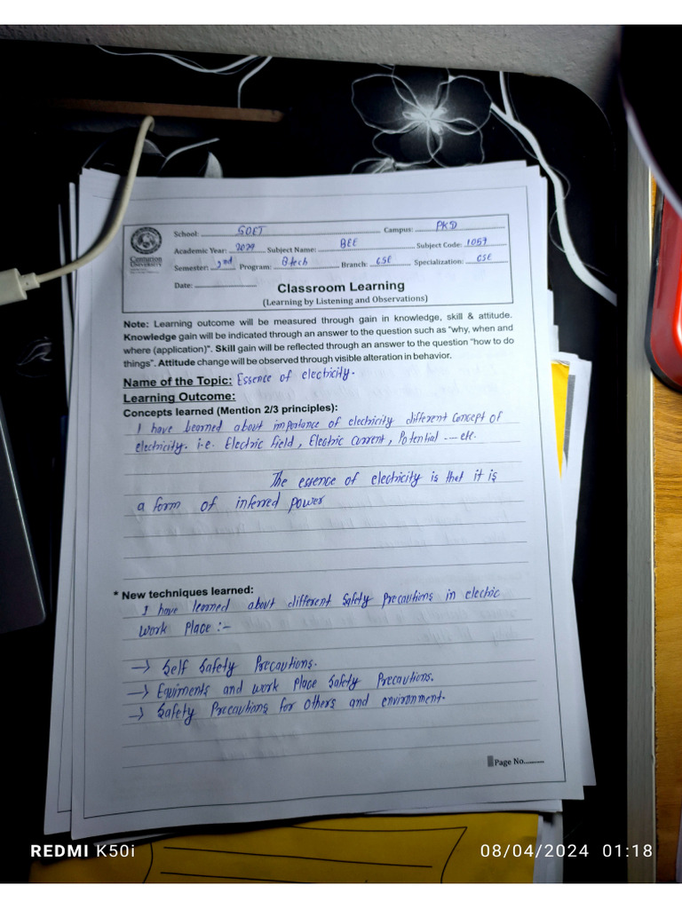 Bee (Learning Record) | PDF