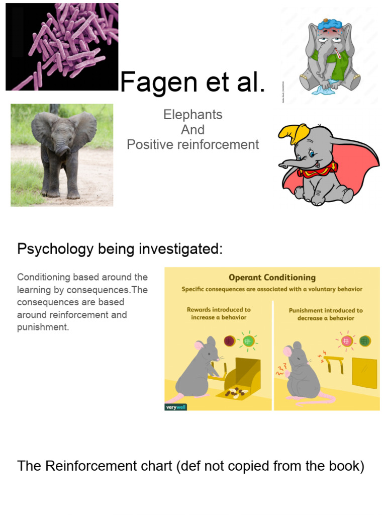 Fagen Et Al. | PDF | Elephant | Reinforcement