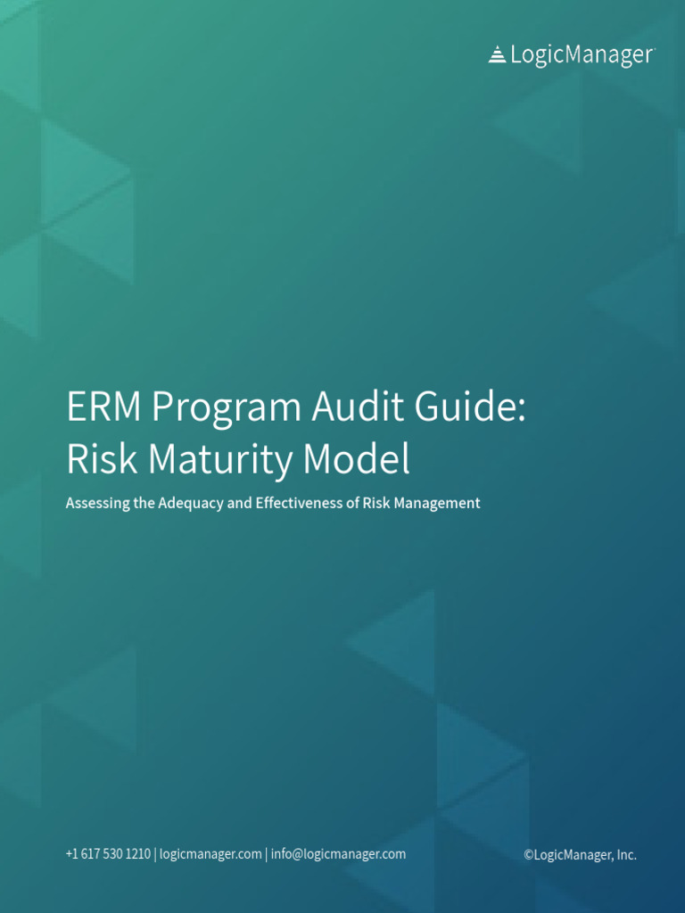 RMM AuditManagementGuide | PDF | Risk | Internal Audit