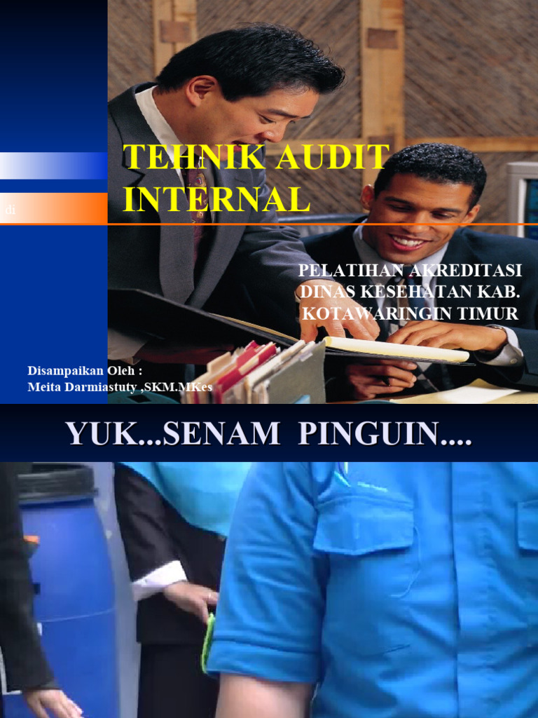 Tehnik Audit Internal | PDF