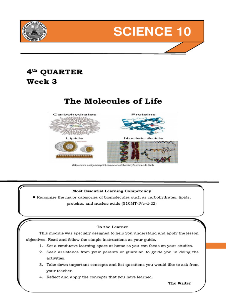 Science 10: The Molecules of Life | PDF | Carbohydrates | Biomolecules