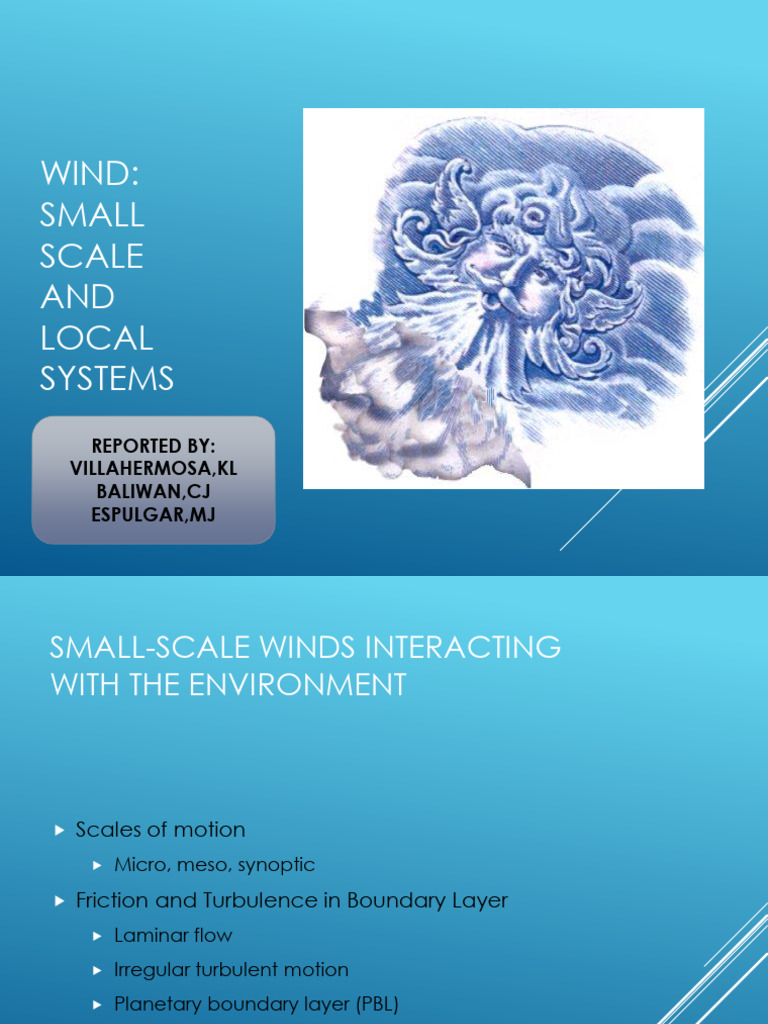 WIND-SMALL-SCALE-AND-LOCAL-SYSTEMS-FINAL | PDF | Wound | Turbulence