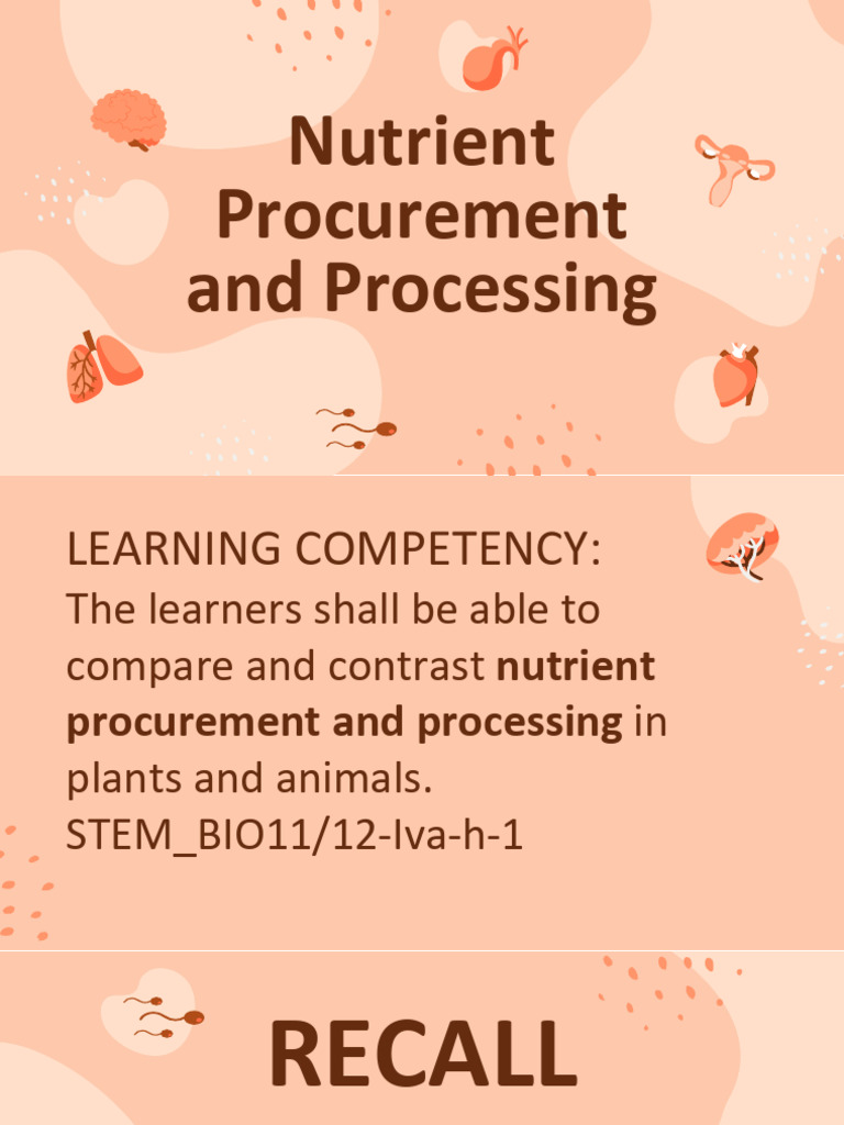 Q4 2. Nutrient Procurement and Processing PDF | PDF | Nutrients | Nutrition