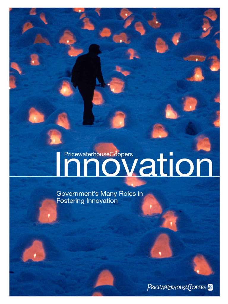 Government Roles in Innovation Support | PDF | Taxes | Value Added Tax