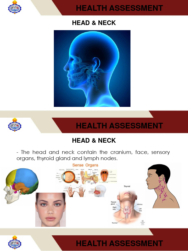 CPAC-SON-HA-3-Head-Neck | PDF | Headache | Diseases And Disorders