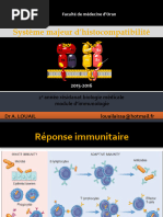 Cours Typage HLA, Cours D'immunologie. | PDF | HLA (antigène ...