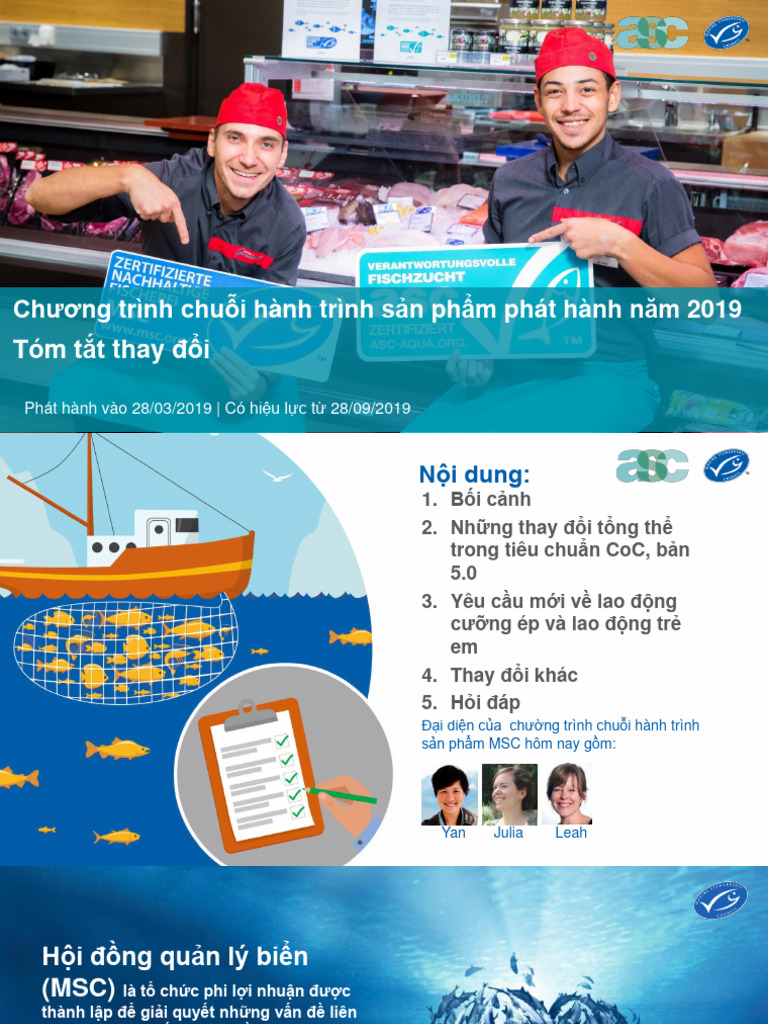 MSC Asc Coc Program Release 2019 - Summary of Changes - Vietnamese | PDF