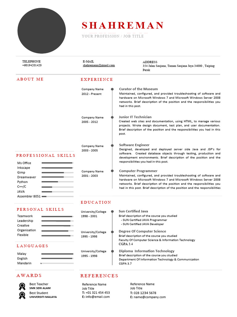 Template Resume | PDF | Java (Programming Language) | Programmer