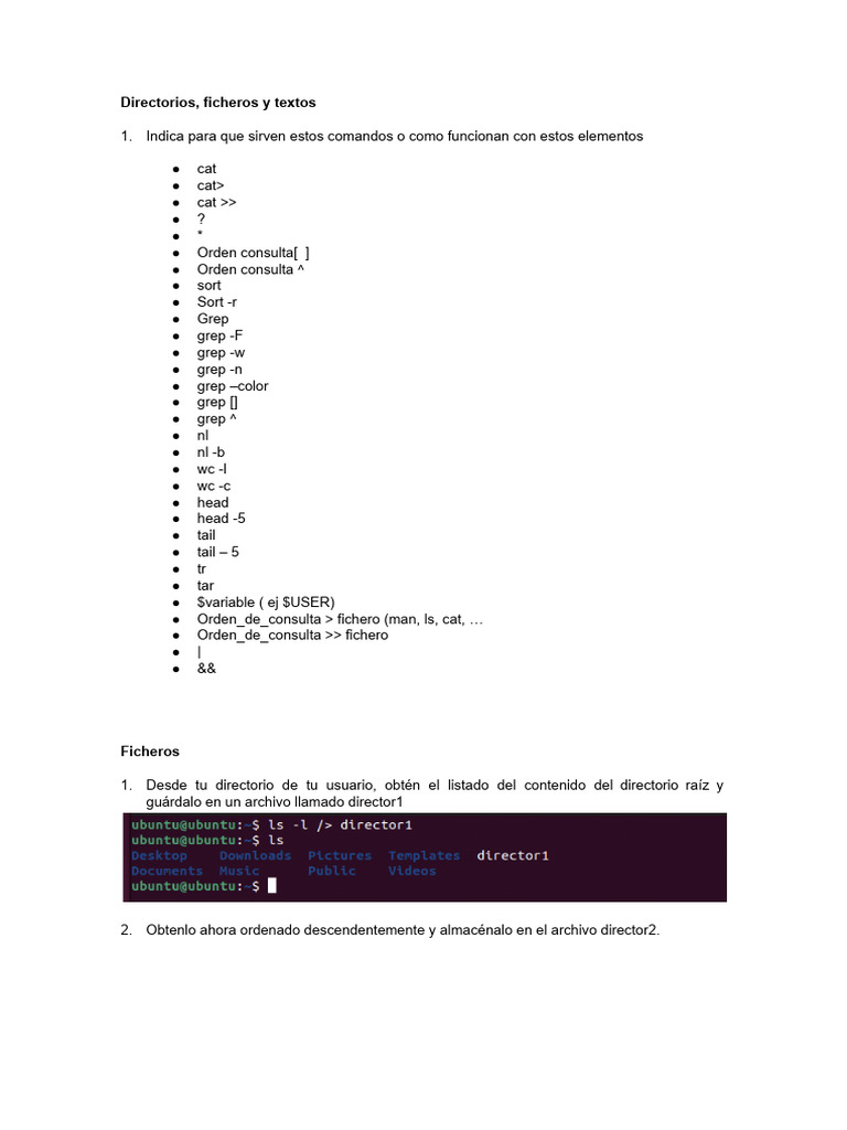 Ejercicios Tema 9 - Linux - Ficheros - Texto | PDF | Archivo de computadora | Datos de computadora