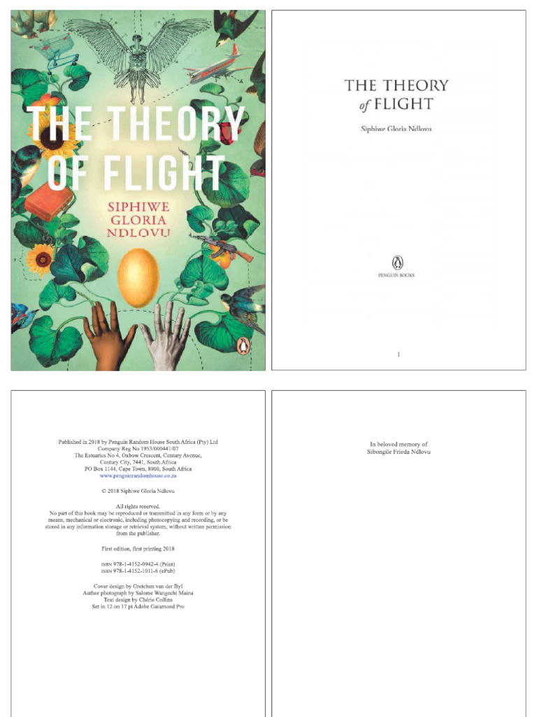 The Theory of Flight | PDF