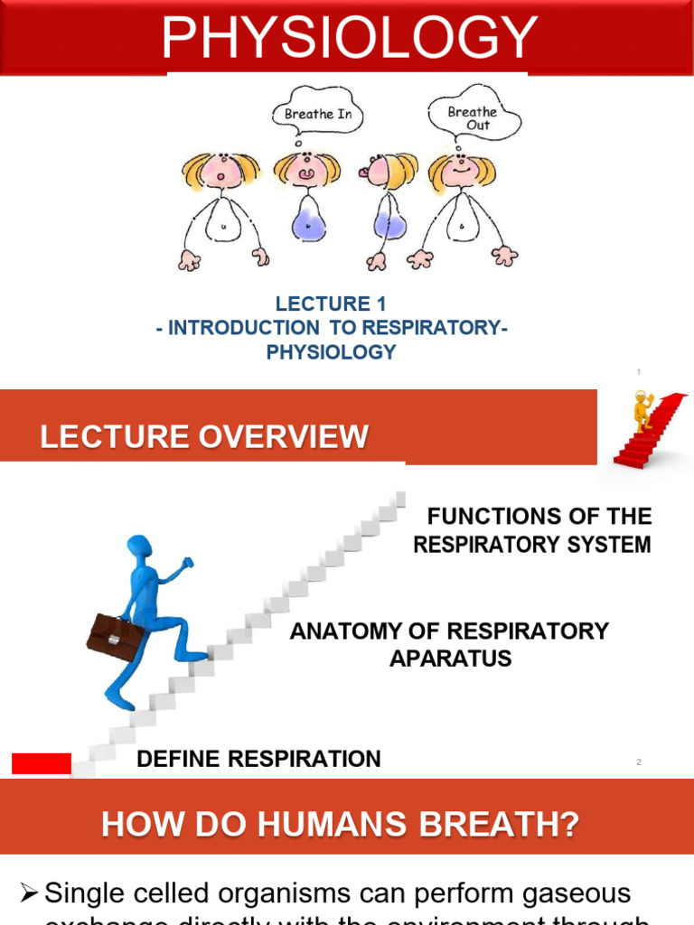 Lecture 1 Introduction To Respiratory Physiology Download Free Pdf