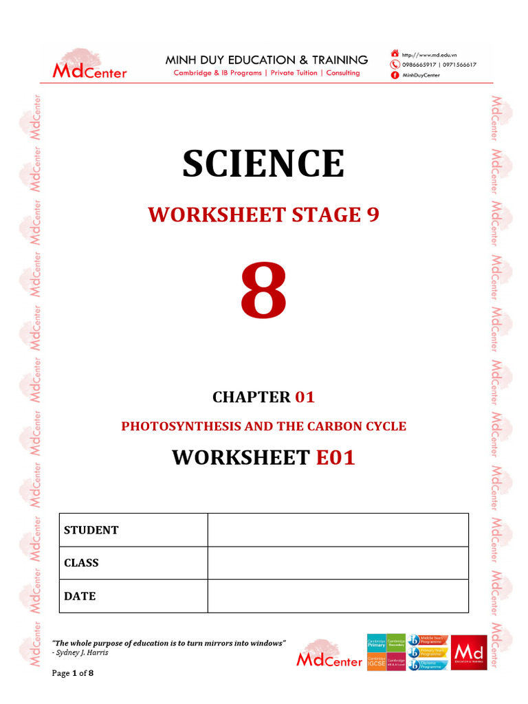 Photosynthesis & Carbon Cycle Worksheet | PDF