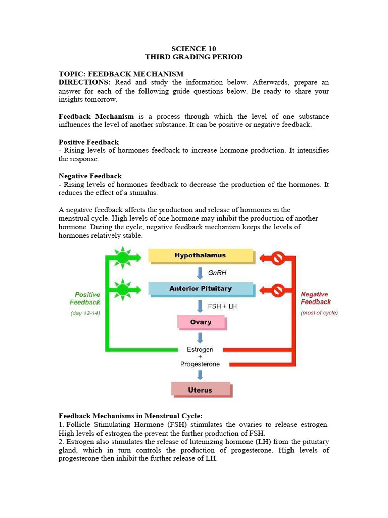 Feedback Mechanisms | PDF | Self-Improvement