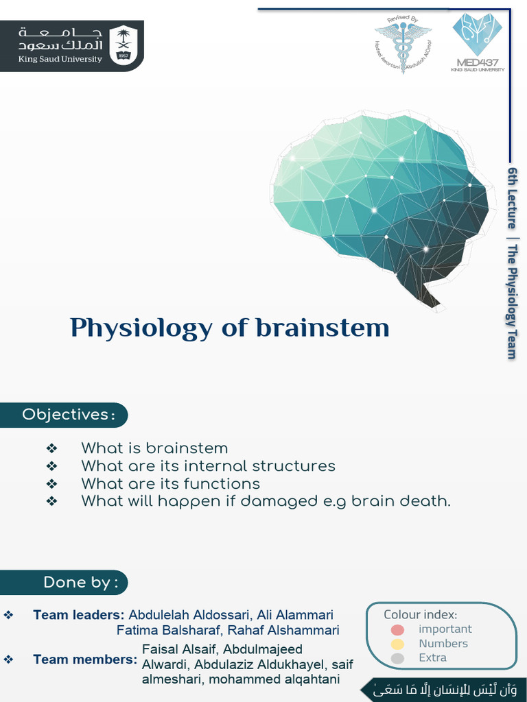 7 - Physiology of Brain Stem | Download Free PDF | Brainstem | Human ...