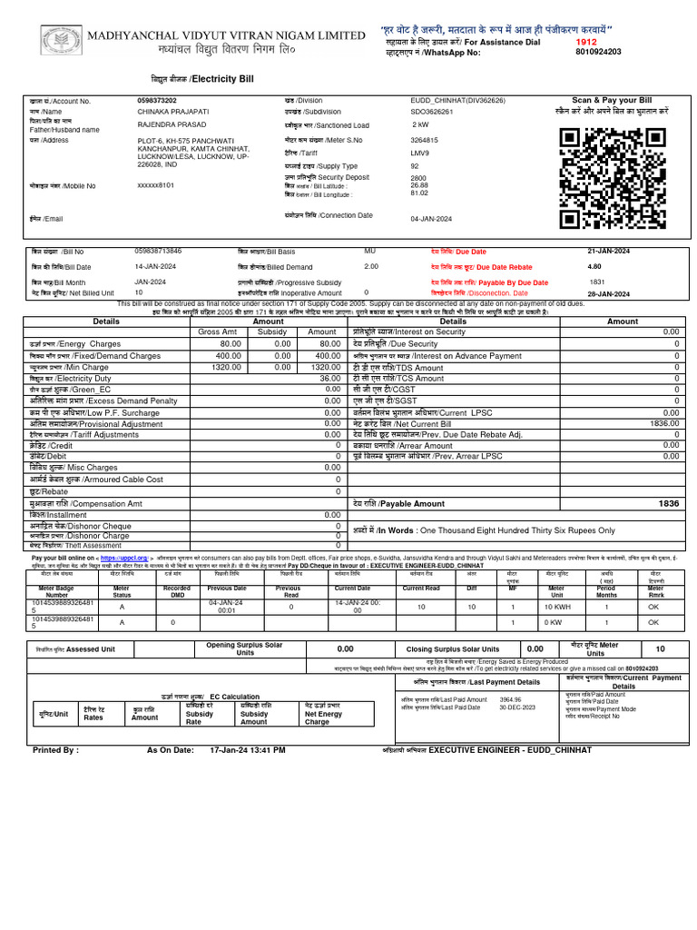 Kamta Lightbill | PDF