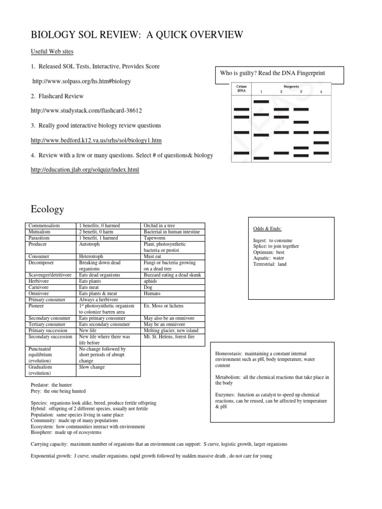 Biology Sol Review | PDF | Meiosis | Cell (Biology)