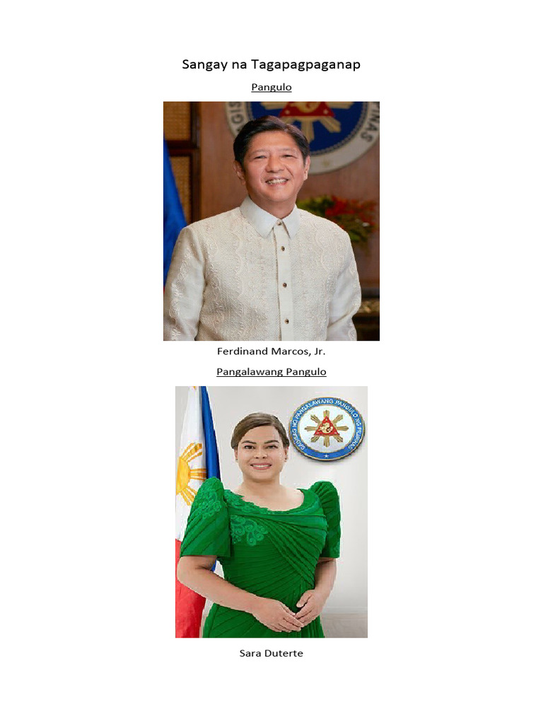 Sangay Na Tagapagpaganap | PDF