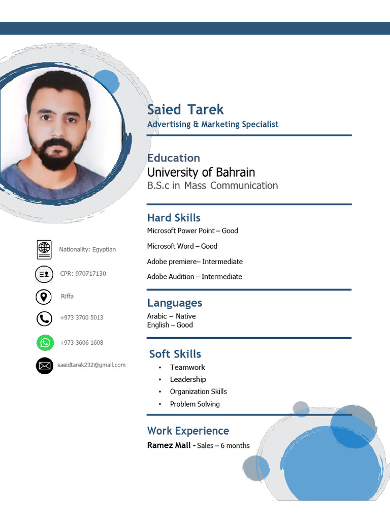Saeid-Tarek-CV 2 | PDF