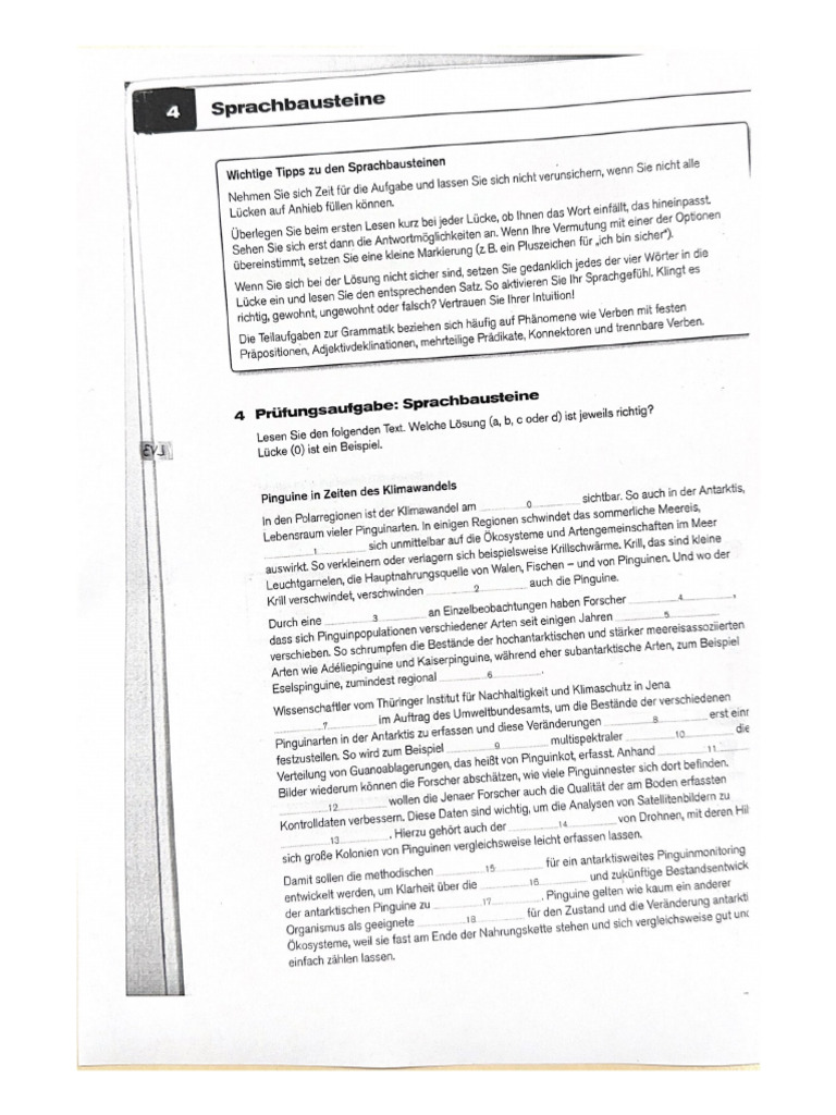 Sprachbausteine C1 | PDF