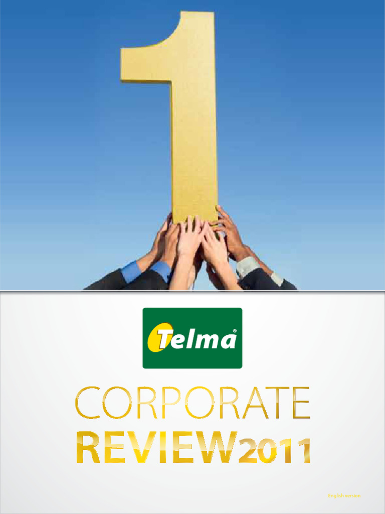 Telma Group: Madagascar's Telecom Leader | PDF | Madagascar | Internet