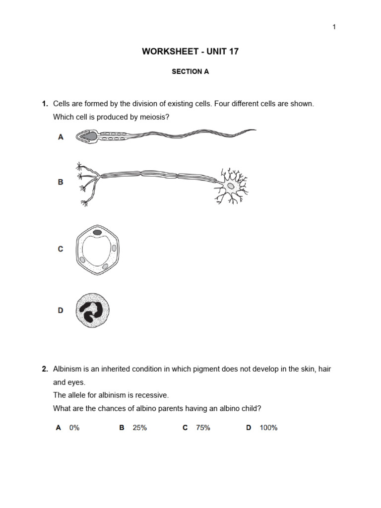 Inheritance Worksheet | PDF | Dominance (Genetics) | Allele