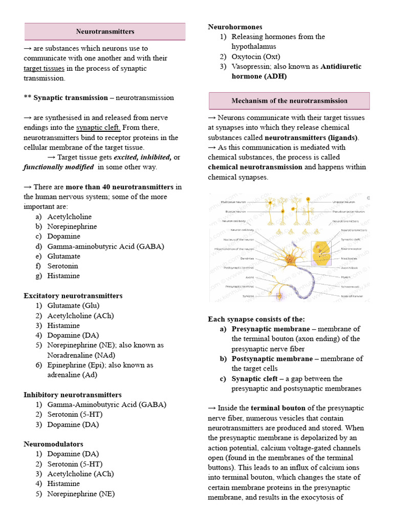Neurotransmitters: Types and Functions | PDF | Neurotransmitter ...