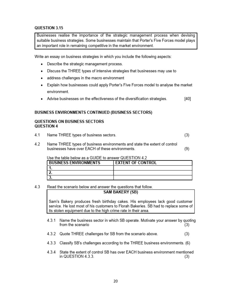 Chapter 6 Business Sectors Questions | PDF | Computers