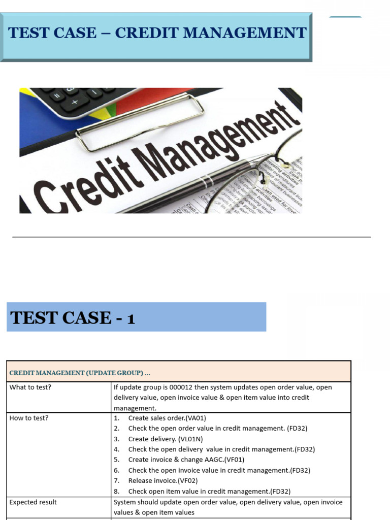 Credit Management Test Cases Overview | PDF