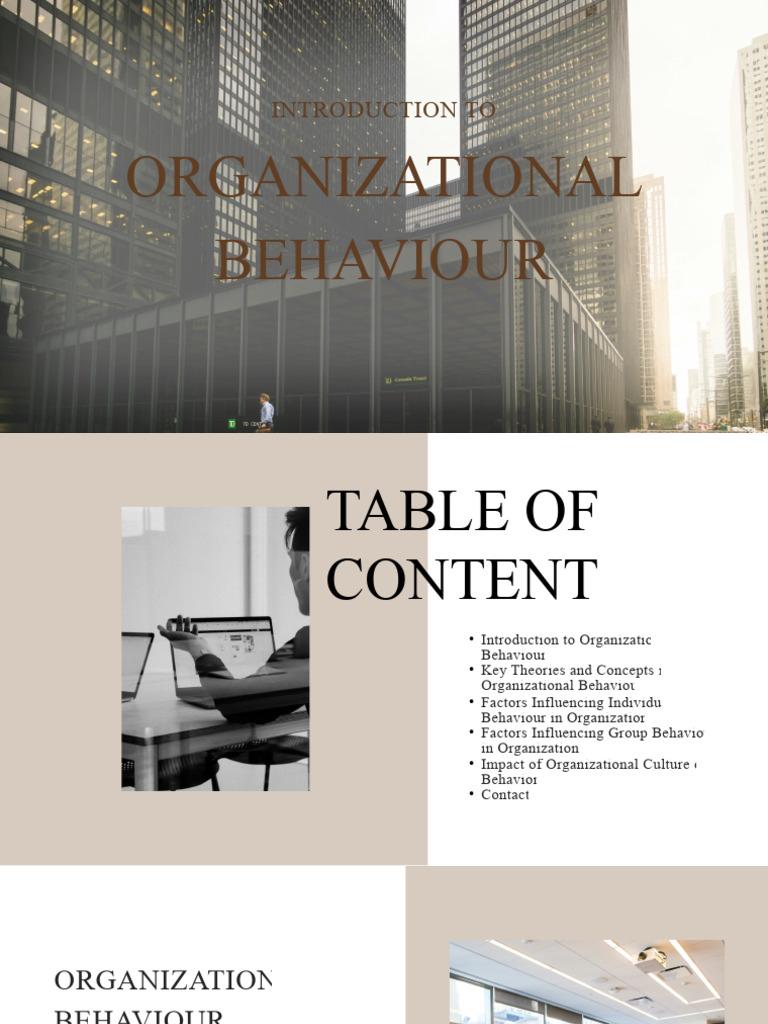 ORganizational Behaviour | PDF | Organizational Behavior | Behavior