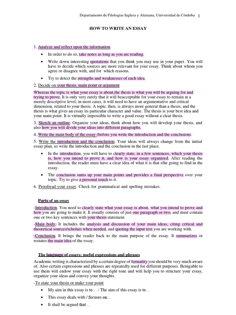 Guide to Writing an Effective Essay | PDF | Essays | Argument