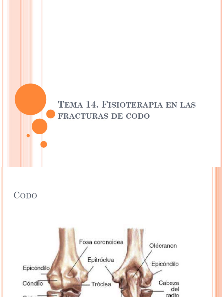 Tema 14. Fisioterapia en las fracturas de codo | PDF | Codo | Anatomía humana