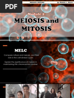 Video Recap of Meiosis by Amoeba Sisters Updated Pictures | PDF | Meiosis | Chromosome