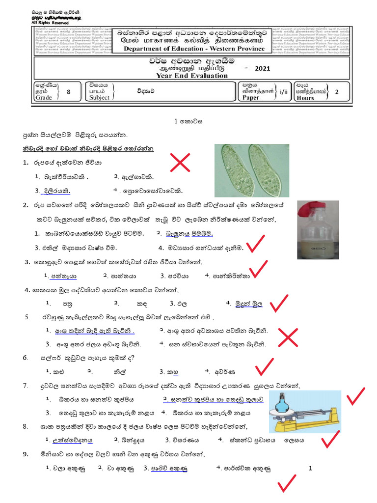 2021 3rd Science g8 SM | PDF
