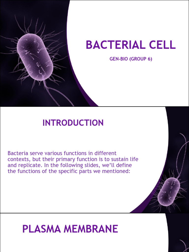 Bacterial Cell | PDF | Science & Mathematics