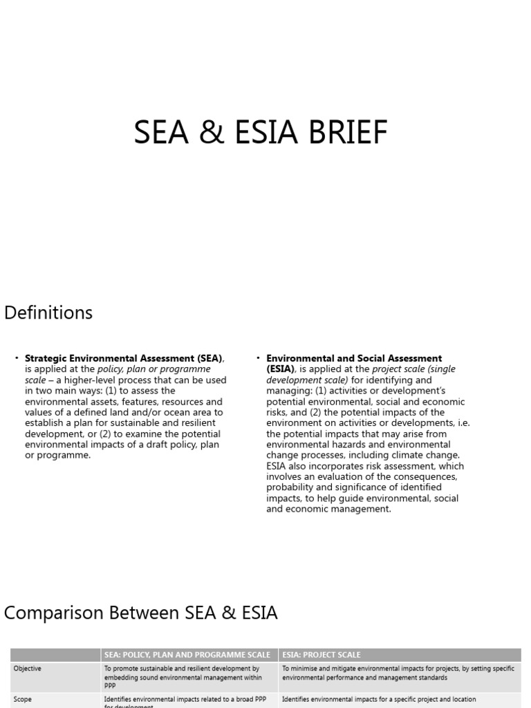 Sea Esia Brief | PDF | Environmental Impact Assessment | Risk