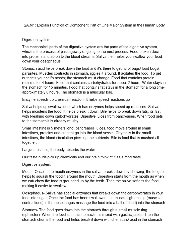 Assignment Unit 10 - 500 Words | PDF | Digestion | Stomach