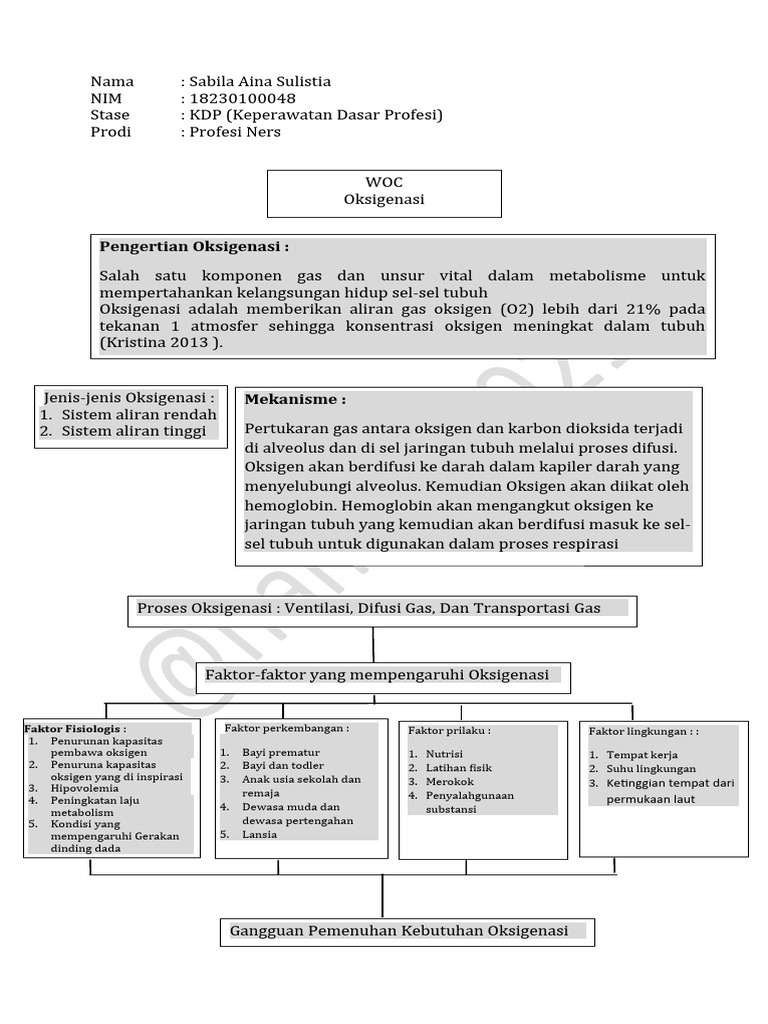 WOC-Oksigenasi New | PDF