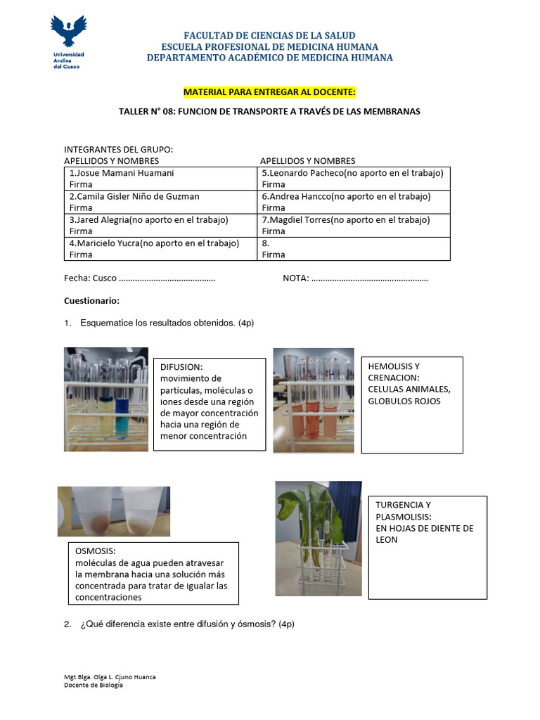 Taller 8 Transporte A Través de Las Membranas Celulares | PDF | Ósmosis ...