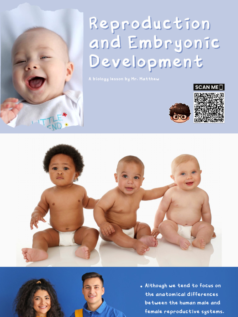 Human Reproductive Systems Overview | PDF | Ovary | Uterus