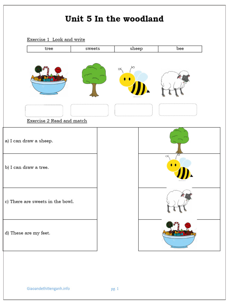 Worksheet Grade 1 - Unit 5 | PDF | Bees