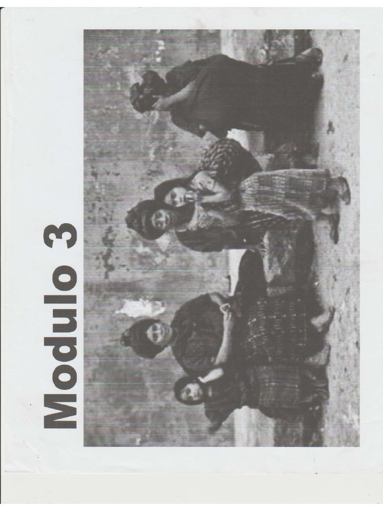 MODULO 3 Y 4 | PDF
