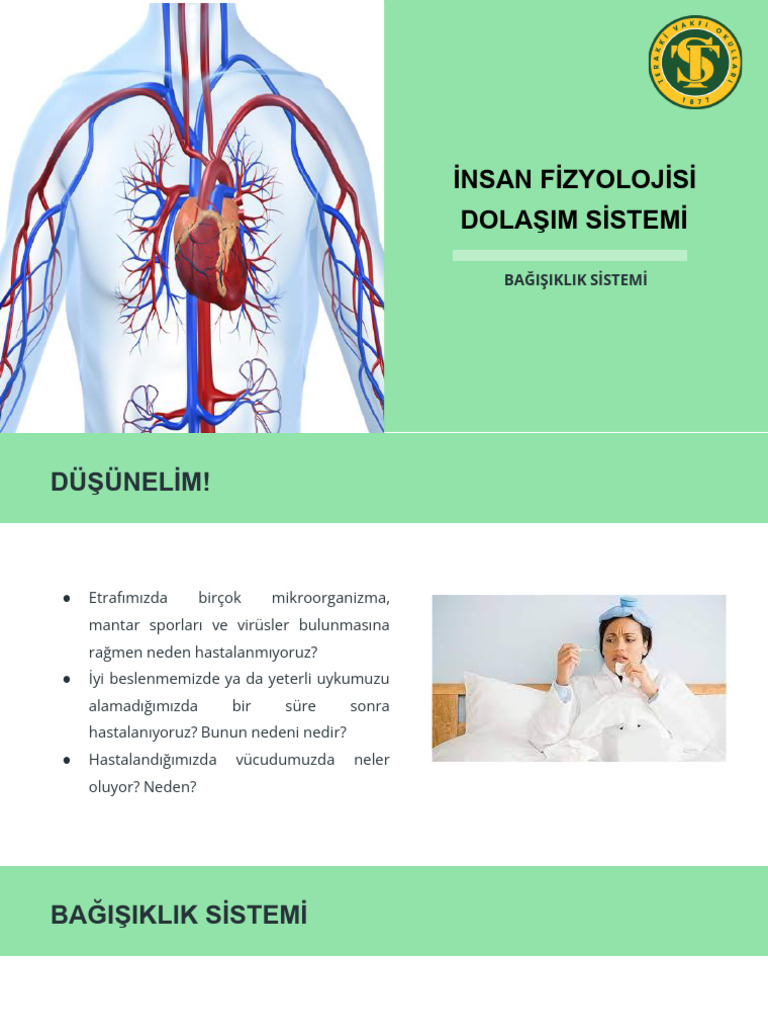 11 Bi̇yo - Bağişiklik Si̇stemi̇ | PDF