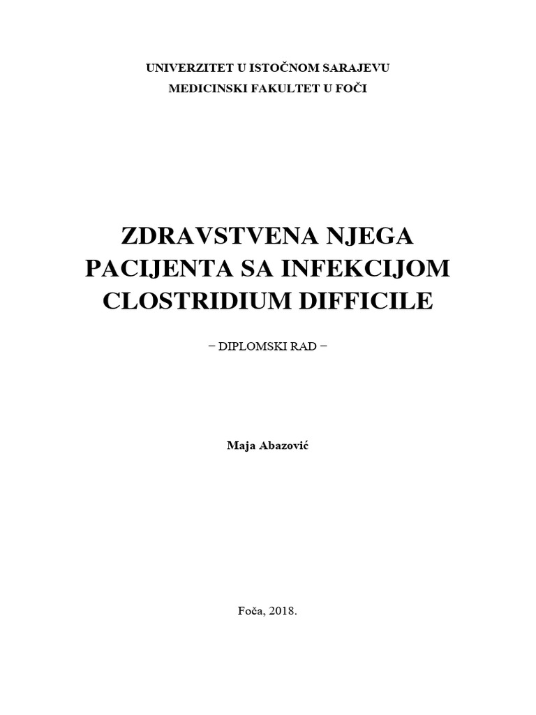 Maja Abazovic - Diplomski Rad | PDF