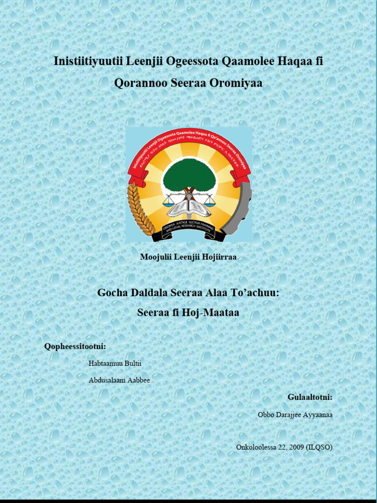 Gocha Daldala Seeraa Alaa To'achuu | PDF