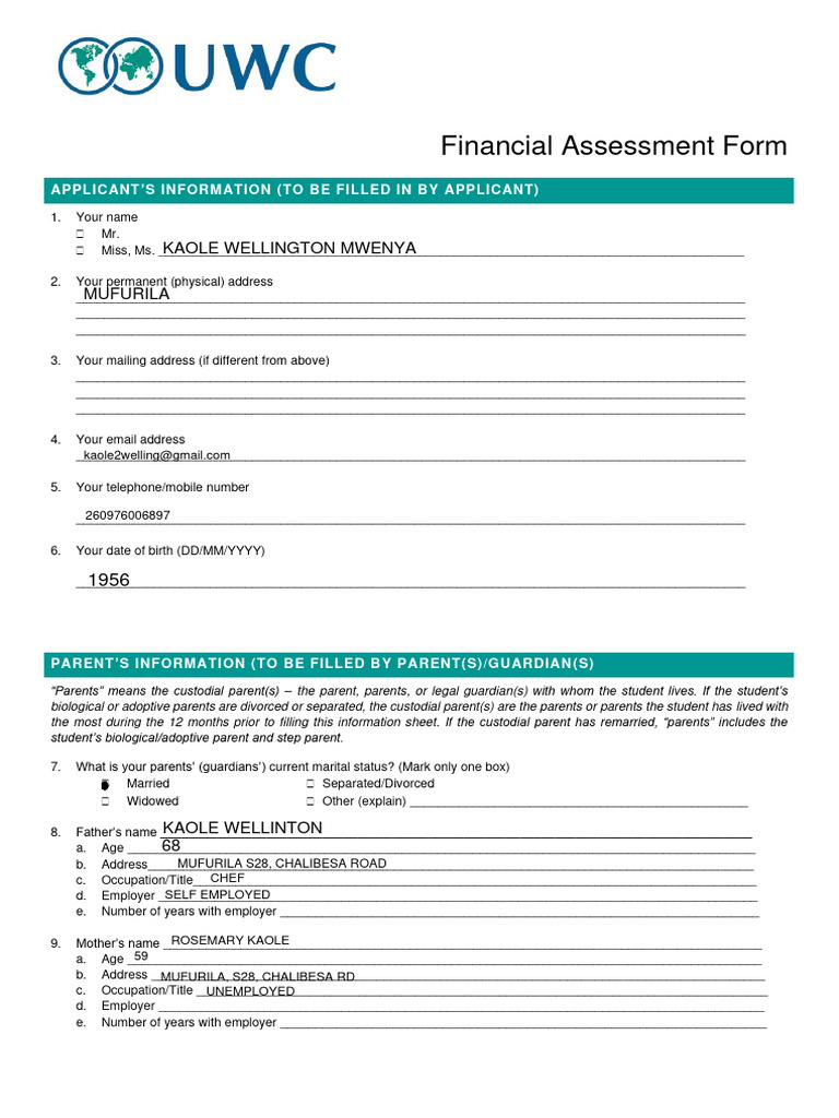 Financial Assessment Form | PDF | Expense | Economies