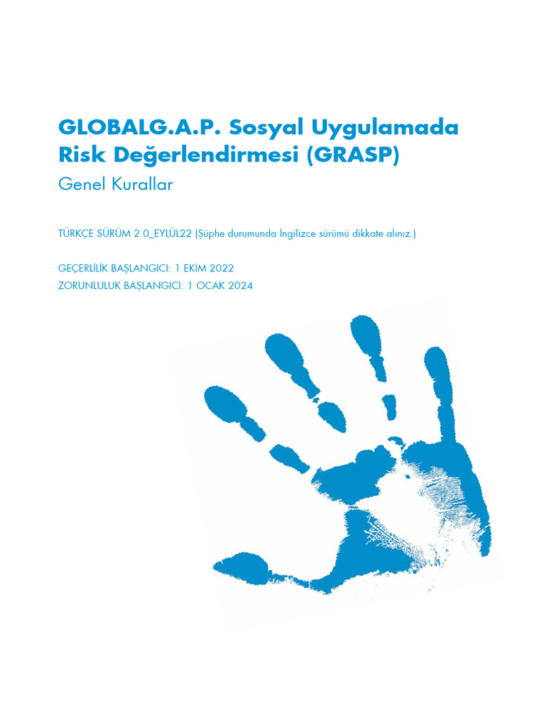 GRASP General Rules v2 0 Sep22 TR | PDF